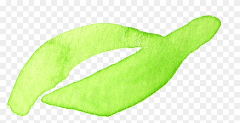 [showmyads] - Flatworm - Free Transparent PNG Clipart Images Download